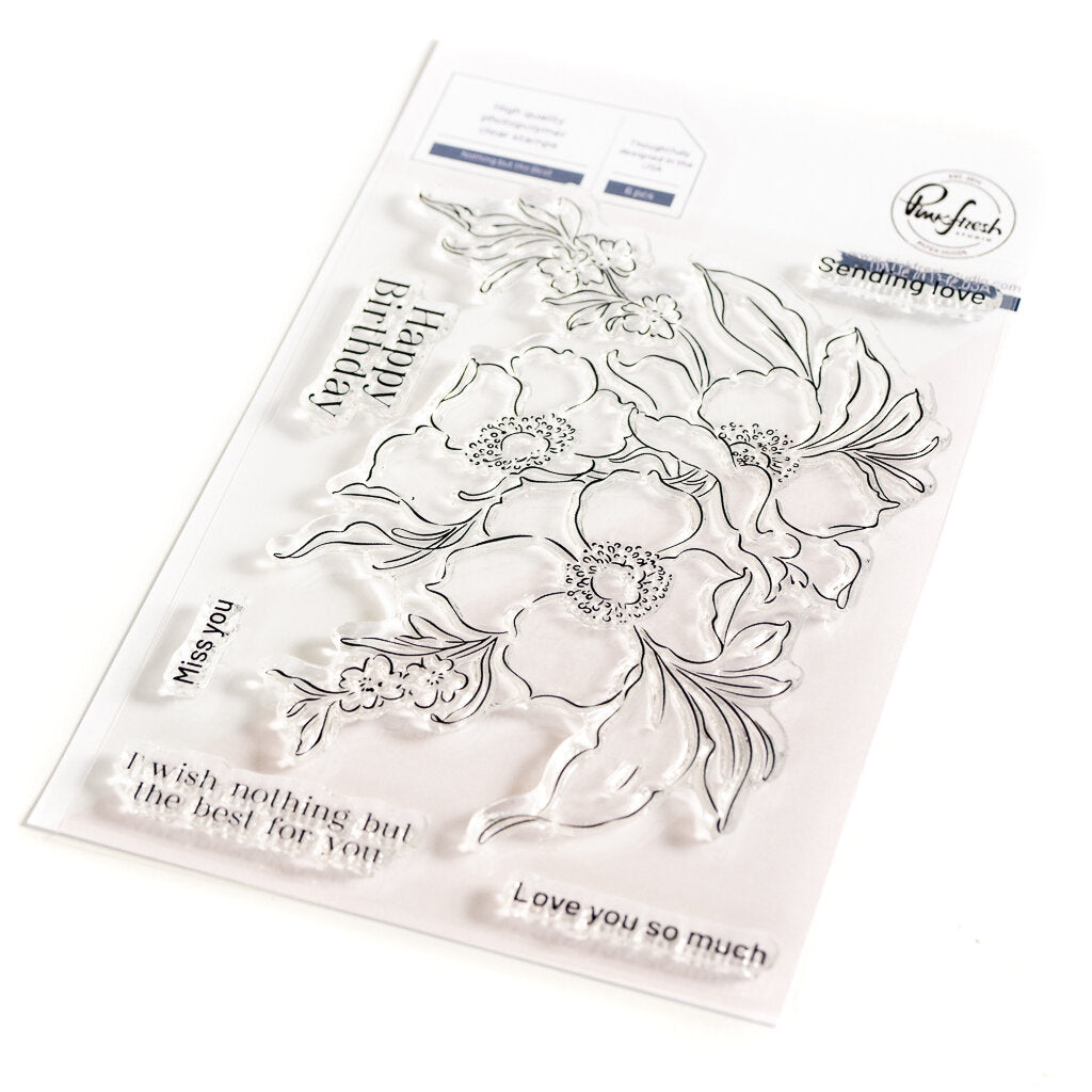 Pinkfresh Studio Nothing But The Best Clear Stamps 190123 – Simon Says ...