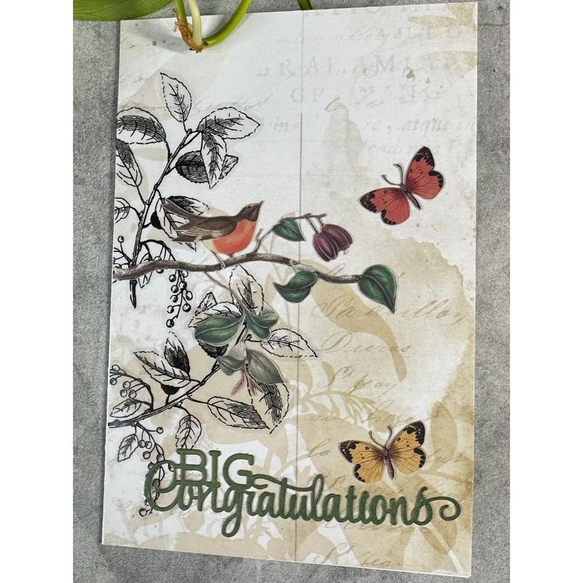 Arden Creative Studio Stacked Big Congratulations Die acscd0025 – Simon ...