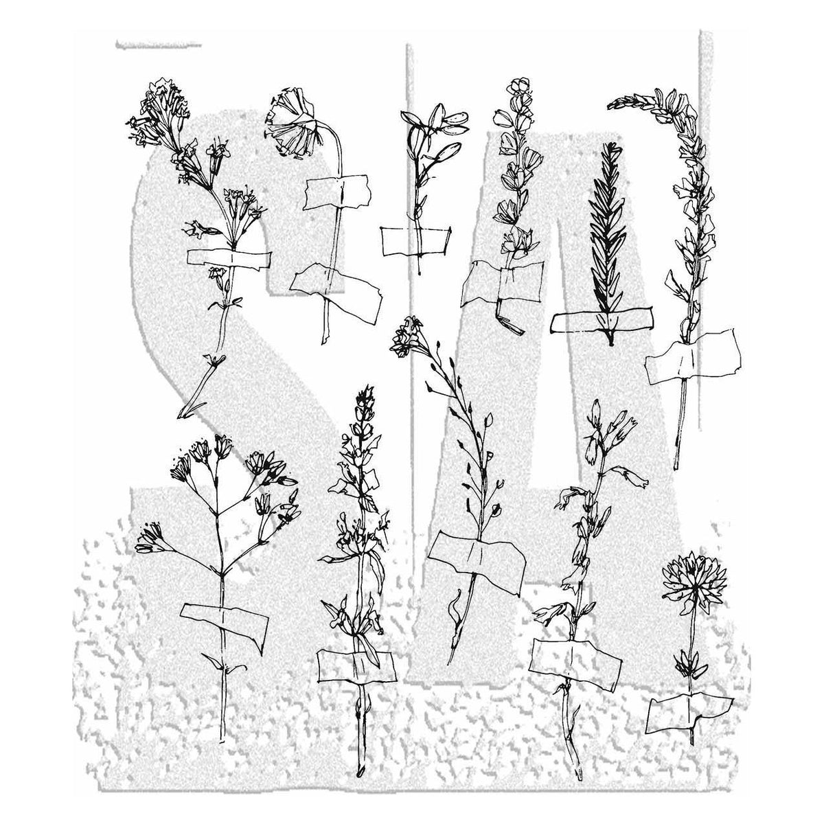 Tim Holtz Cling Rubber Stamps Forgotten Garden cms481 – Simon Says Stamp