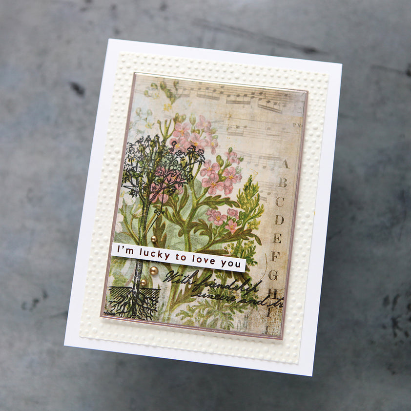 Simon Says Clear Stamps Beautiful and Curious 2243ssc You are My Favor ...