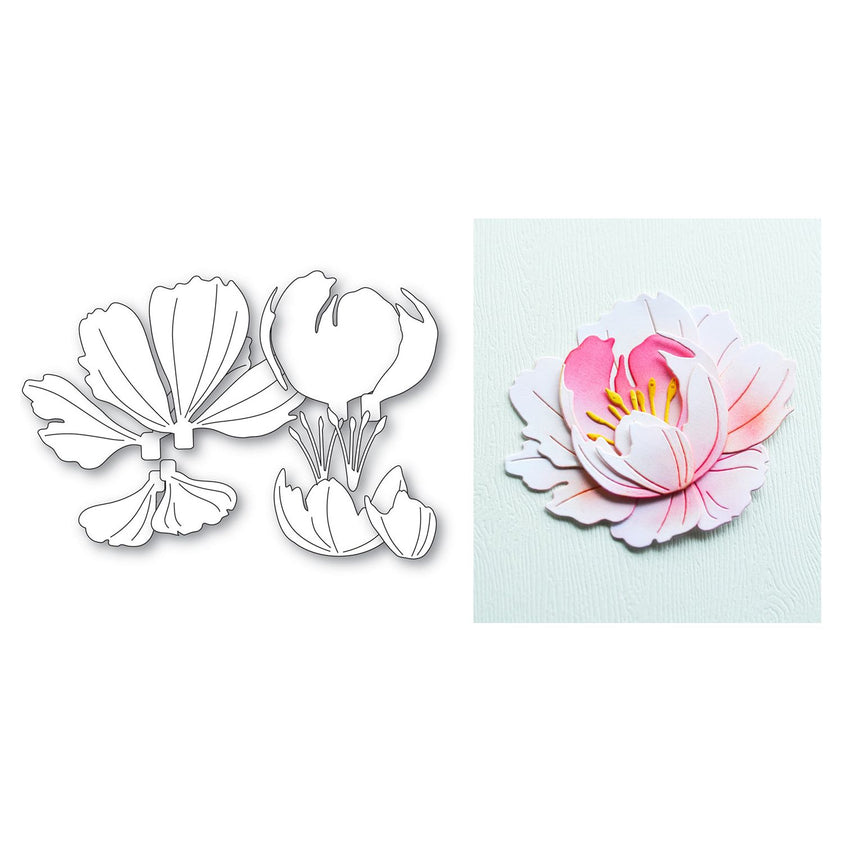 Memory Box Graceful Peony Blossom Dies 94877* – Simon Says Stamp