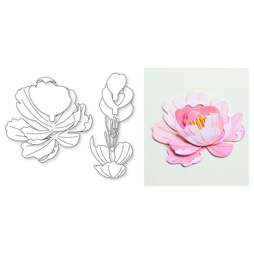 Memory Box Refined Peony Bloom Dies 94873 – Simon Says Stamp