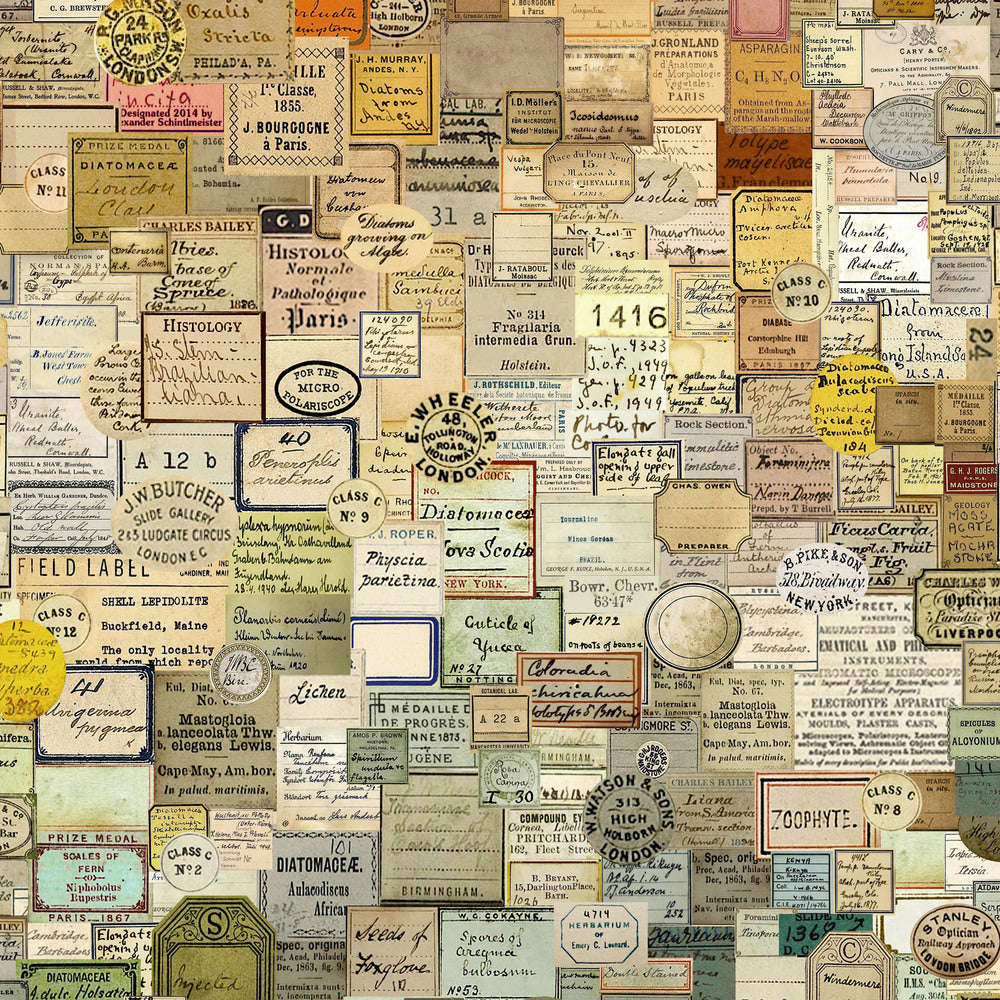 Tim Holtz Eclectic Elements Laboratory Fabric By The Yard Curator ...
