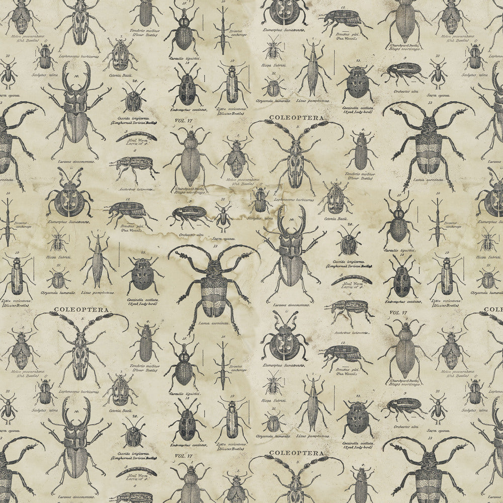 Tim Holtz Eclectic Elements Laboratory Fabric By The Yard Specimen ...