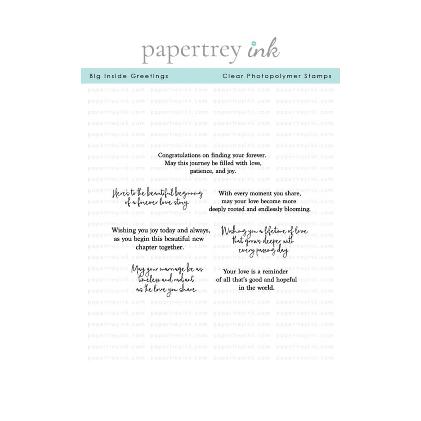 Papertrey Ink Big Inside Greetings Clear Stamp and Die Set – Simon Says ...