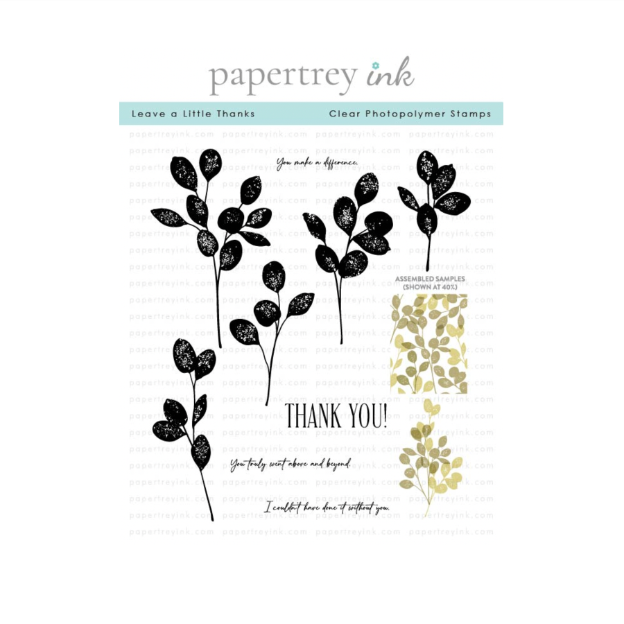 Papertrey Ink Leave a Little Thanks Clear Stamps 1683 – Simon Says Stamp