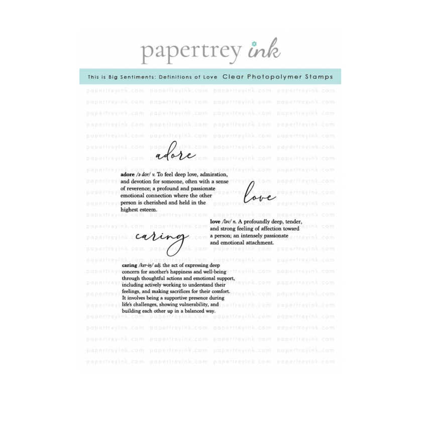 Papertrey Ink This is Big Sentiments Definitions of Love Clear Stamp a ...