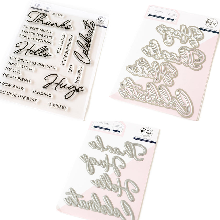 Pinkfresh Studio Basic Sentiments Stamps Dies And Press Plates Bundle ...