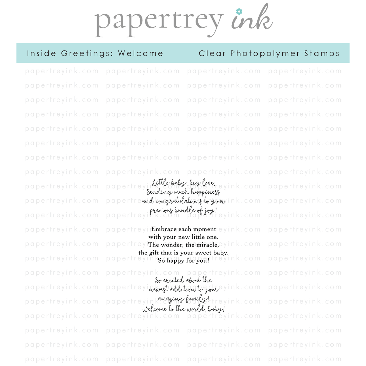 Papertrey Ink Inside Greetings Welcome Clear Stamps 1513 – Simon Says Stamp