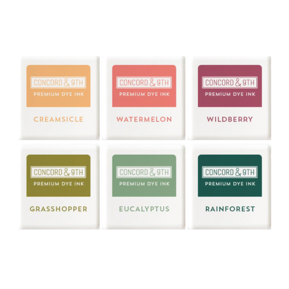 Concord & 9th 2024 Ink Cubes Bundle 12016 – Simon Says Stamp