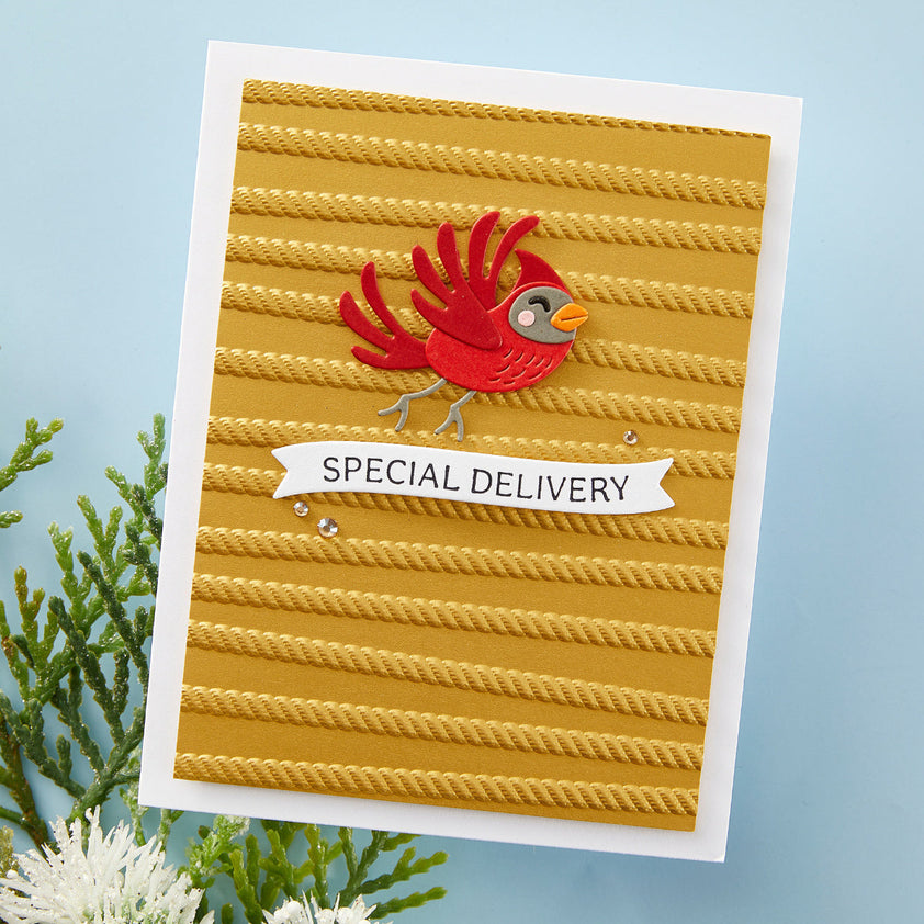 Spellbinders Conrad Cardinal Etched Dies s1-157 – Simon Says Stamp