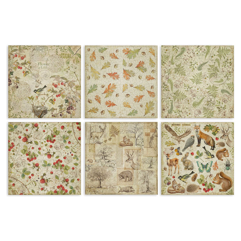 Stamperia Forest 12x12 Cardstock And Grass Paper Pad sbbxlbg01 – Simon ...