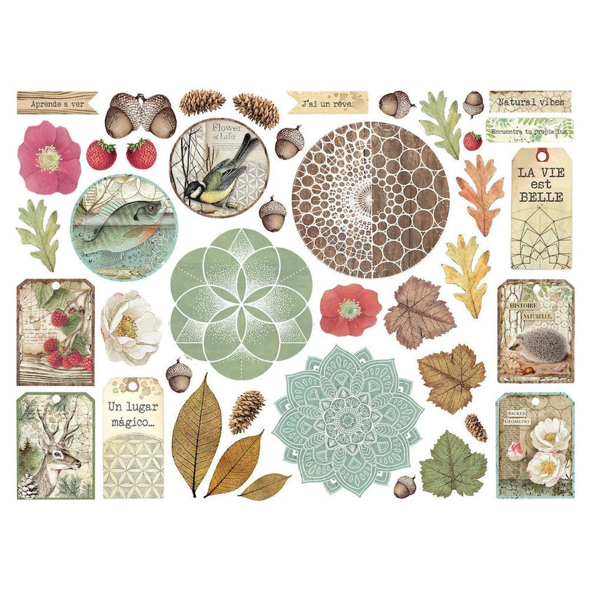 Stamperia Forest Assorted Die Cuts dfldc105 – Simon Says Stamp