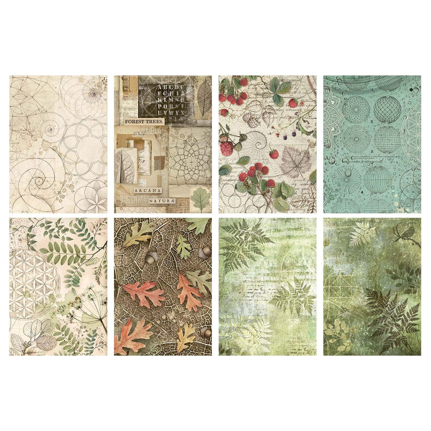 Stamperia Forest Rice Paper A6 Backgrounds dfsak6030 – Simon Says Stamp