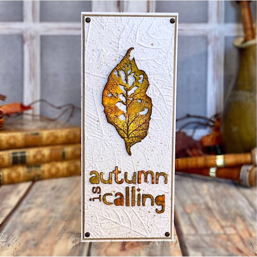 Tim Holtz Sizzix 3D Large Embossing Folder Foliage and Embossing Pad B ...