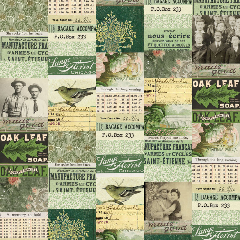 Tim Holtz idea-ology Green 12 x 12 Palette Paper Collection th94460 ...