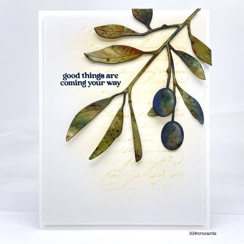 Simon Says Stamp Tuscan Olive Branch Wafer Die s917 Cheering for You