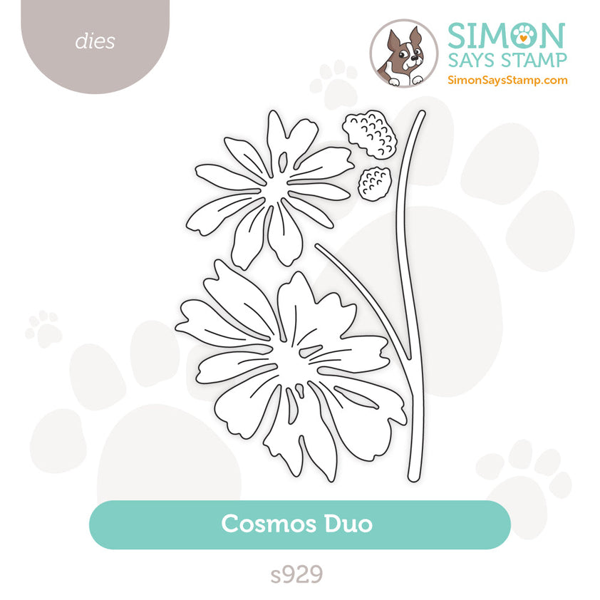 Simon Says Stamp Cosmos Duo Wafer Dies s929 Cheering for You