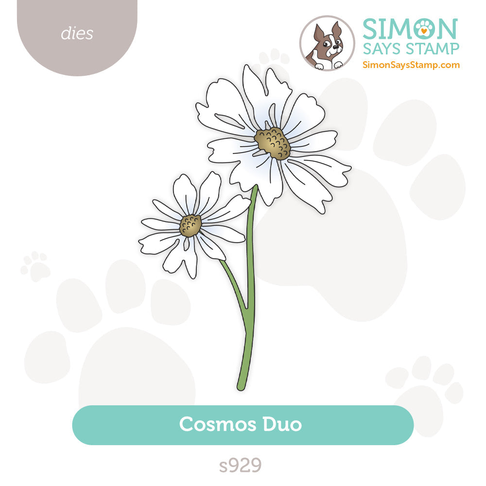 Simon Says Stamp Cosmos Duo Wafer Dies s929 Cheering for You