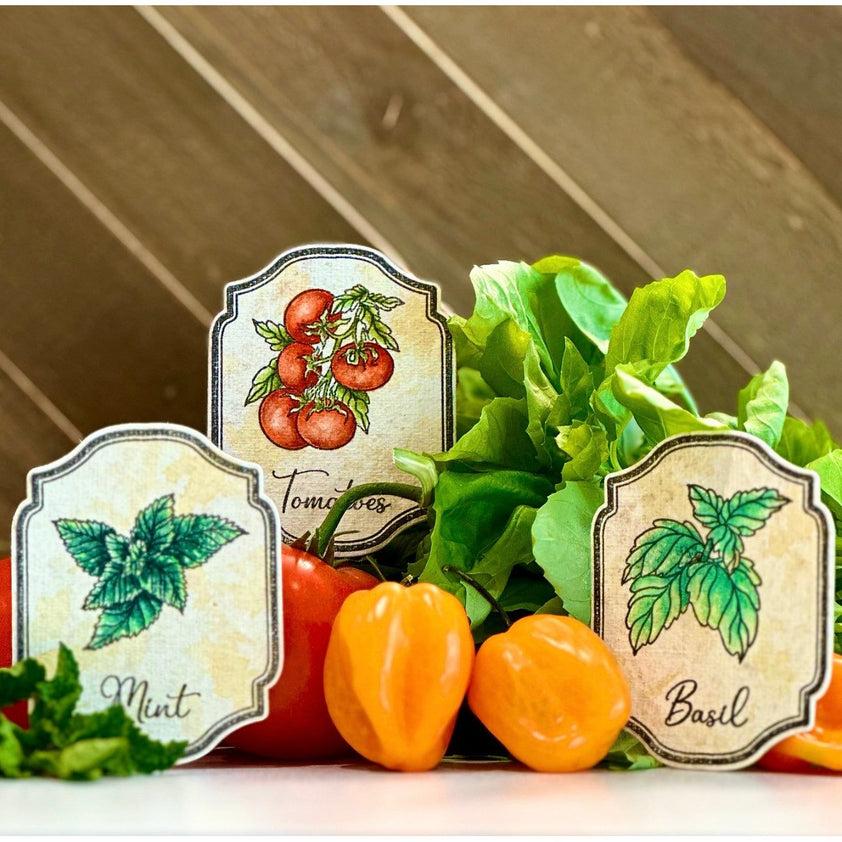 Simon Says Stamp Herb Labels Wafer Dies sssd112807c Just For You